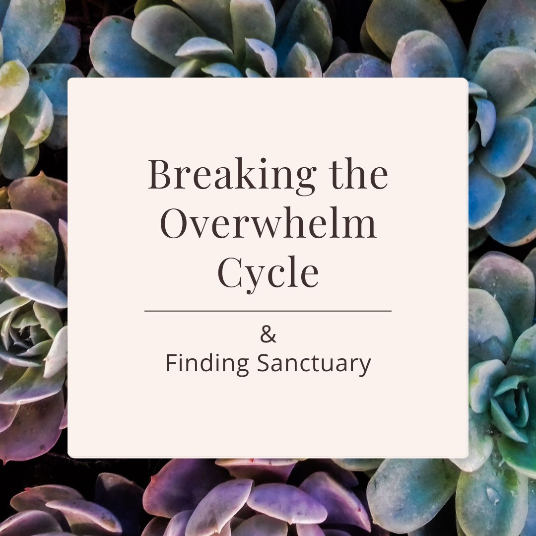 Rock Water Studio | Breaking the Overwhelm Cycle & Finding Sanctuary